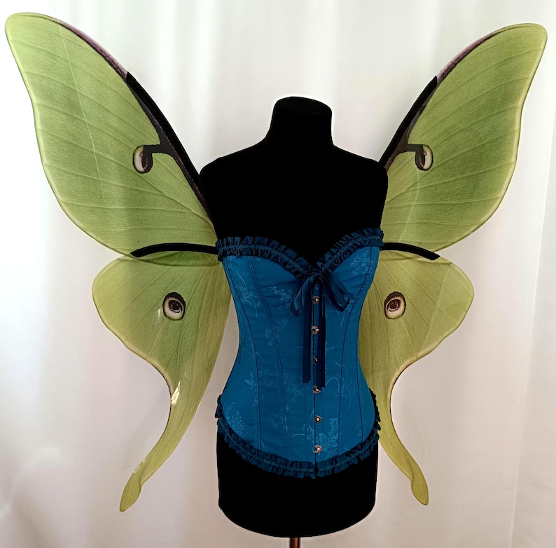 Green Luna Moth Fairy Wings – Flexible Plastic Wings for Cosplay ...