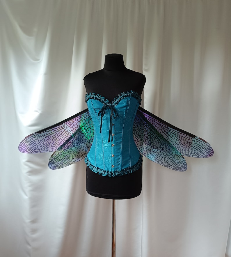 Iridescent Dragonfly Wings: Renaissance Festival Costume, Adult ...