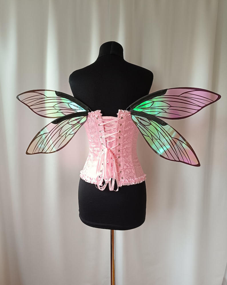 The Mini Elf Wings Are Transparent With a Black Outline, Pixie Wings on ...