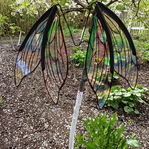 Transparent Realistic Wings With Black Outline for Elf Costume for ...