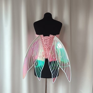 Transparent Realistic Fairy Wings for Costume on Renaissance Festival ...