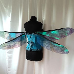 Iridescent Dragonfly Wings: Renaissance Festival Costume, Adult ...
