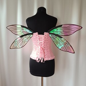The Mini Elf Wings Are Transparent With a Black Outline, Pixie Wings on ...