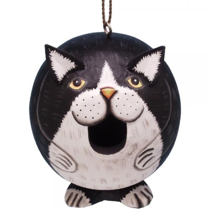 Black & White Cat Bird House - Etsy