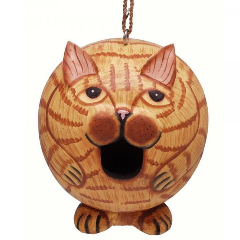 Orange Tabby Cat Bird House - Etsy