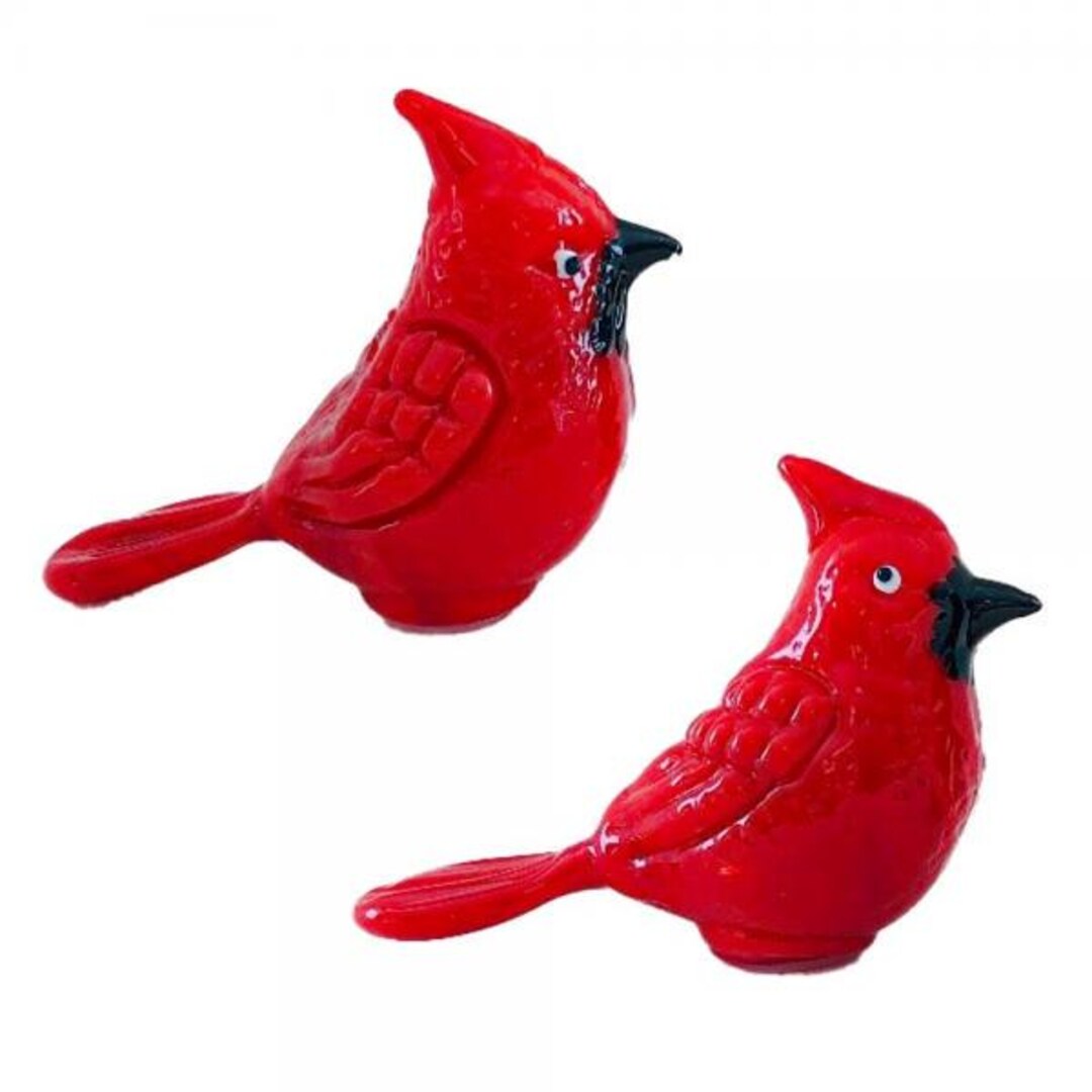 Blown Glass Cardinal Salt and Pepper Set - Etsy