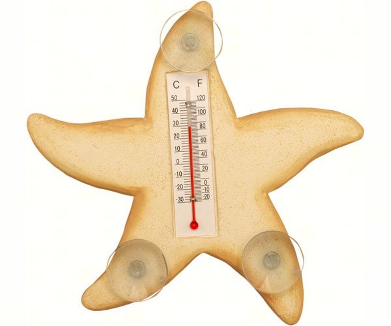 Cream Starfish Small Window Thermometer - Etsy