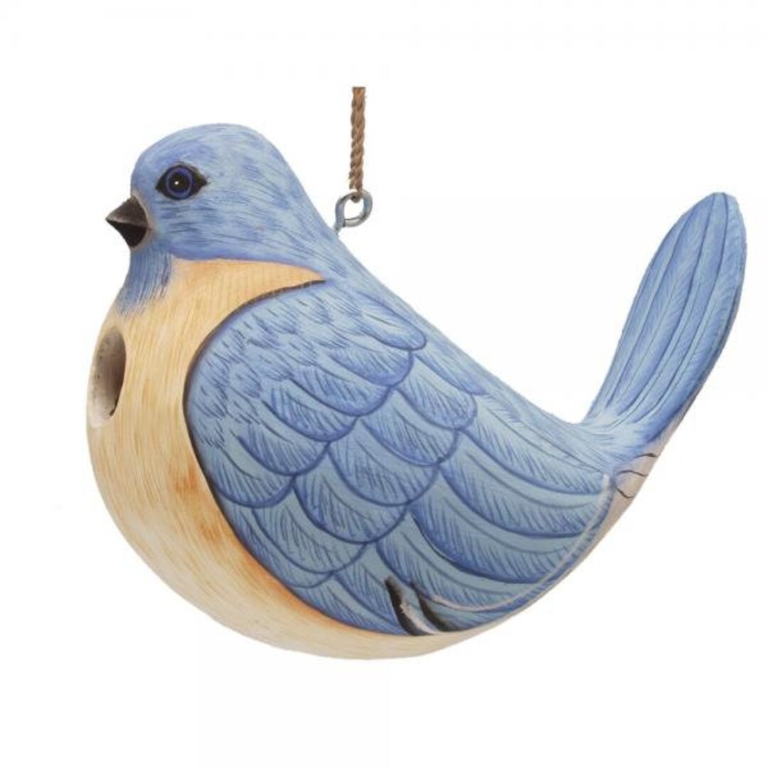 Fat Bluebird Bird House - Etsy