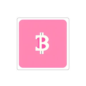 Bich Buy Bitcoin Sticker for Baddies Vinyl Girls Bitcoin Cash Baddie ...