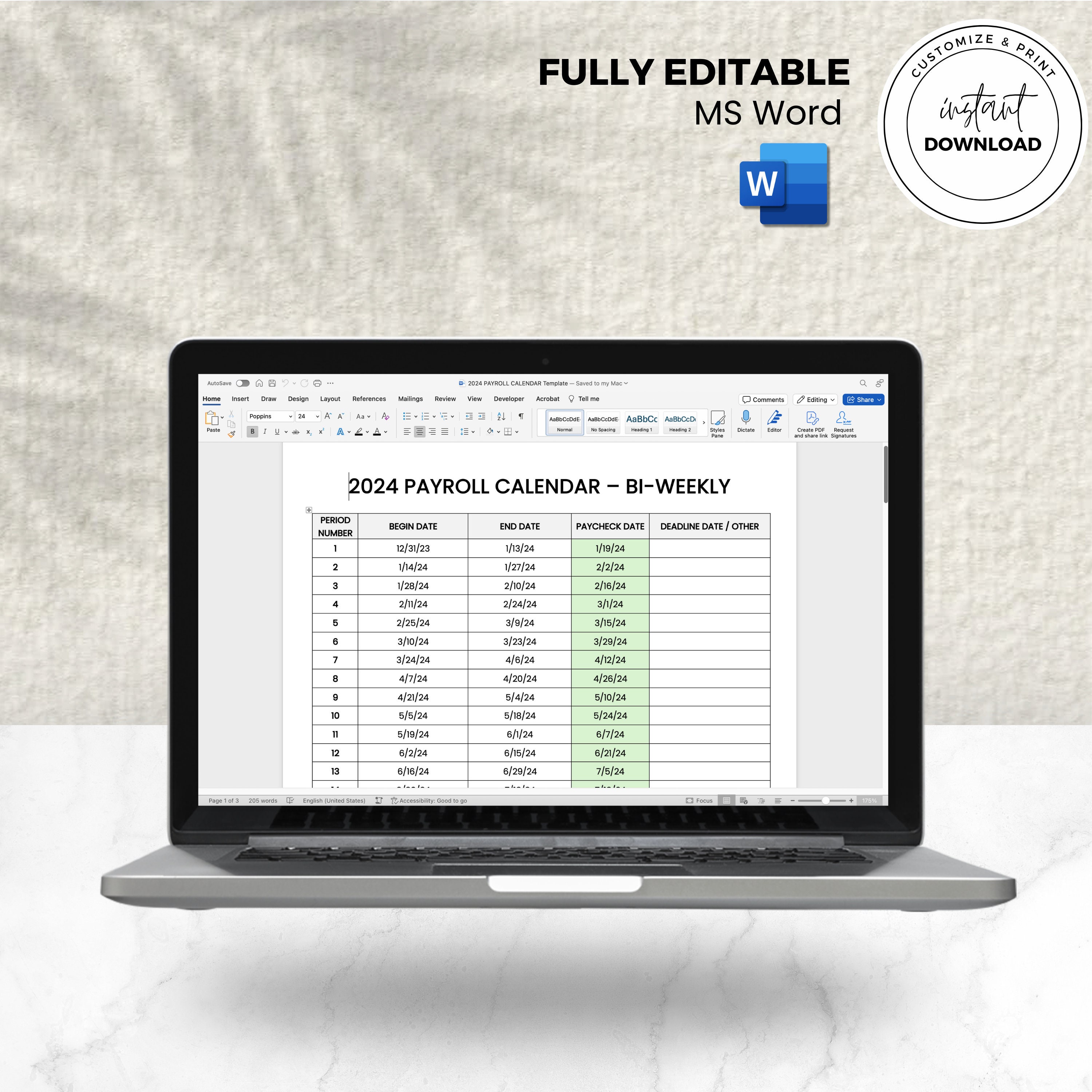 2024 Bi-weekly Payroll Calendar Template - Etsy