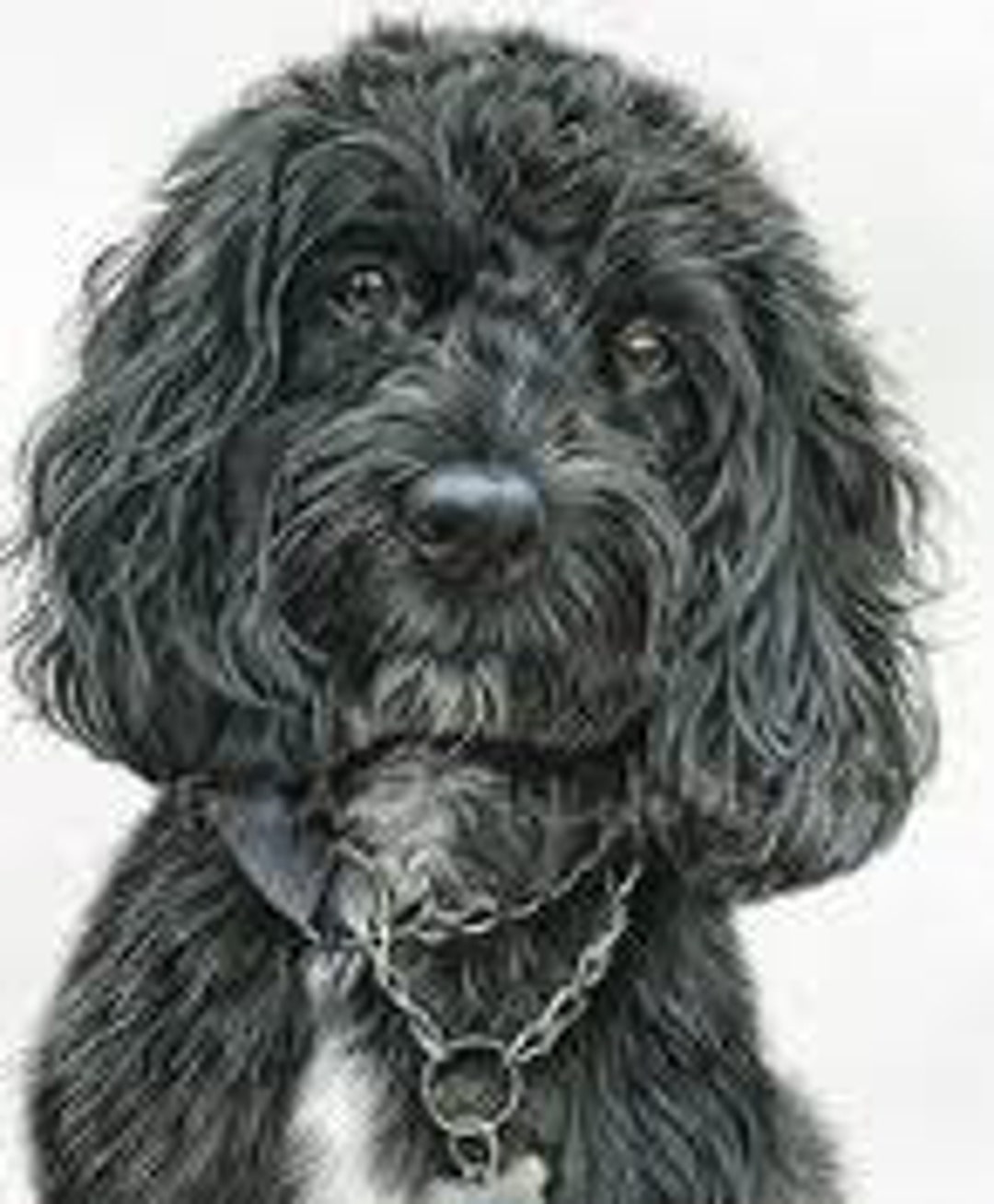BLACK COCKAPOO 2 14 Count Counted Cross Stitch KIT - Etsy