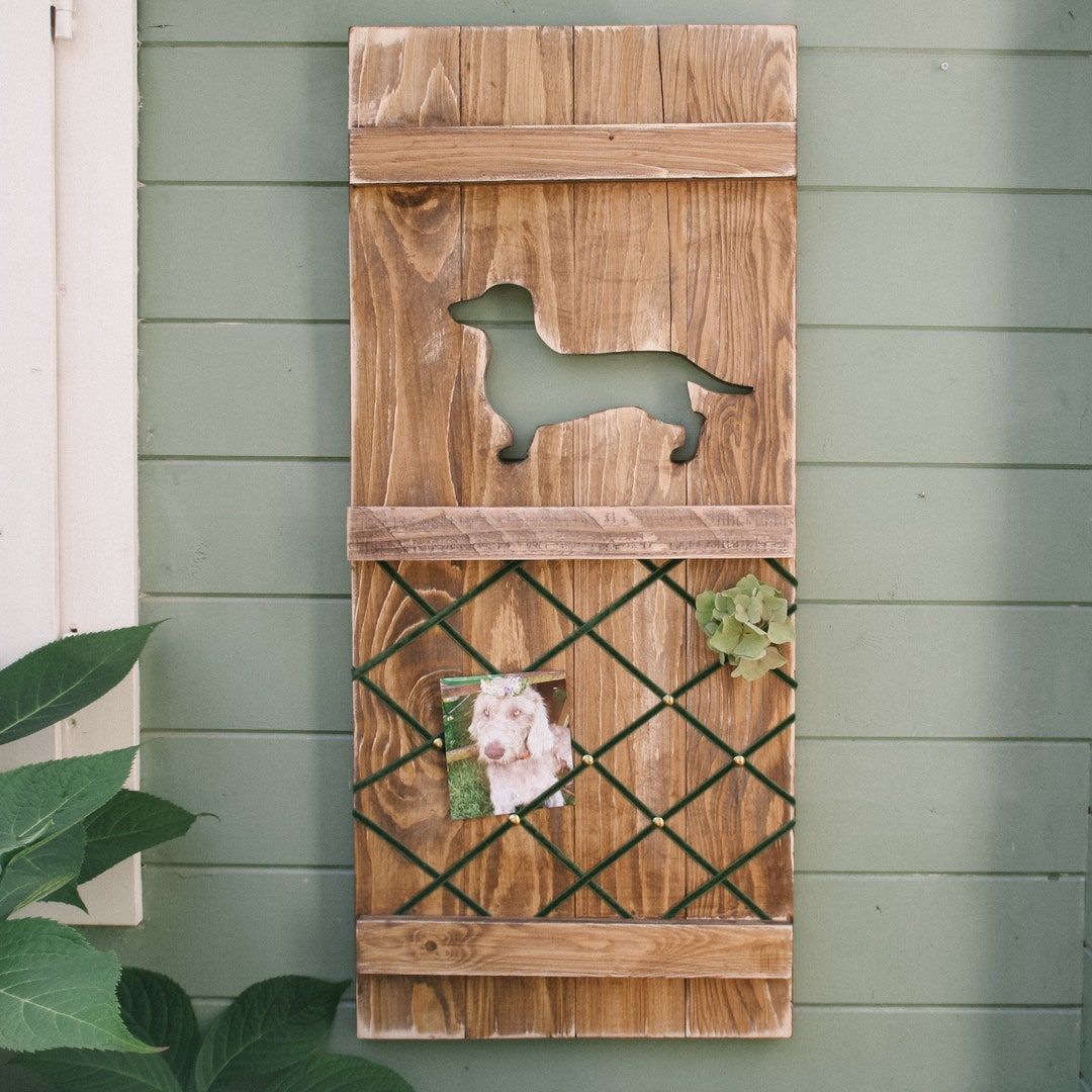 Vintage Photo Wall/memo Board Dachshund/dog Waldi the Sniffer - Etsy