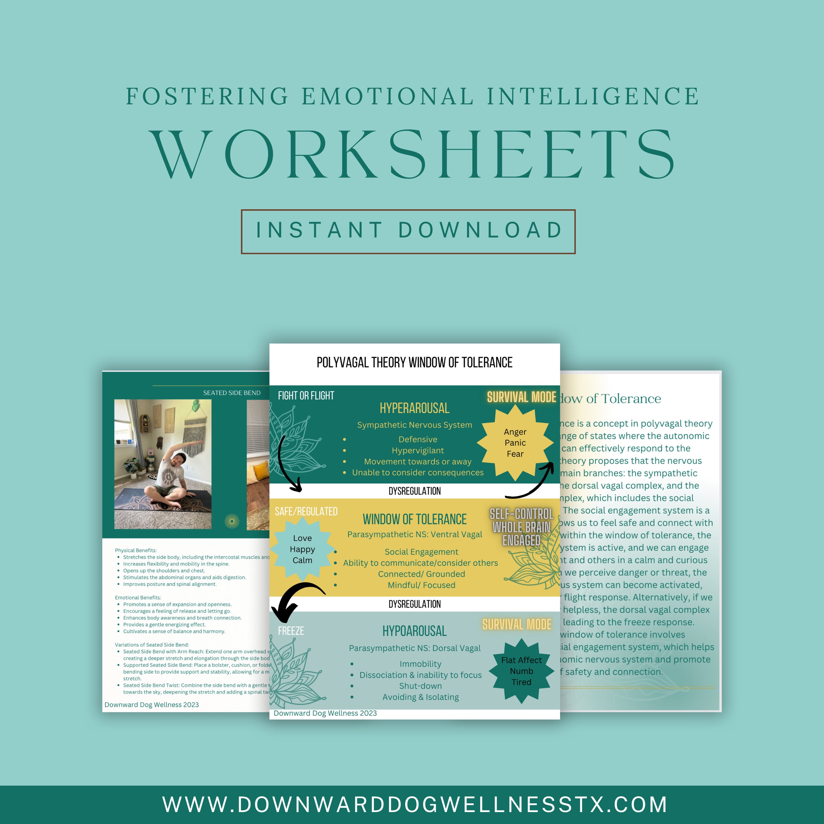 Fostering Emotional Intelligence Workbook - Etsy