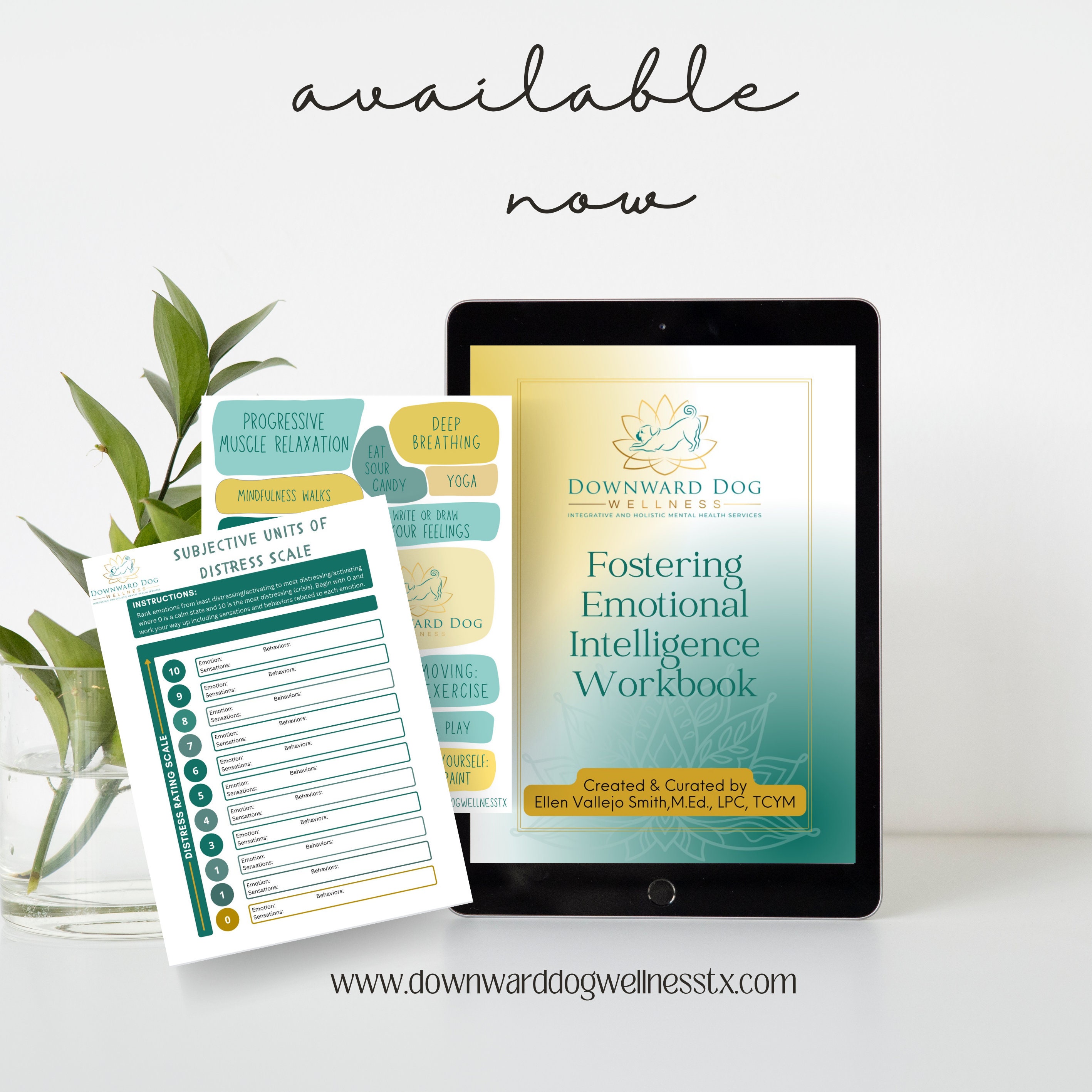 Fostering Emotional Intelligence Workbook - Etsy