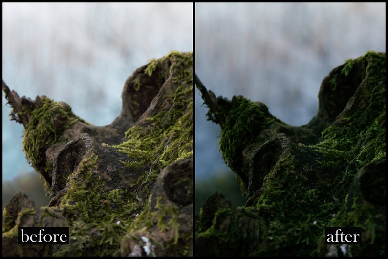 15 Presets for Lightroom Desktop and Lightroom Mobile, Nature Presets ...