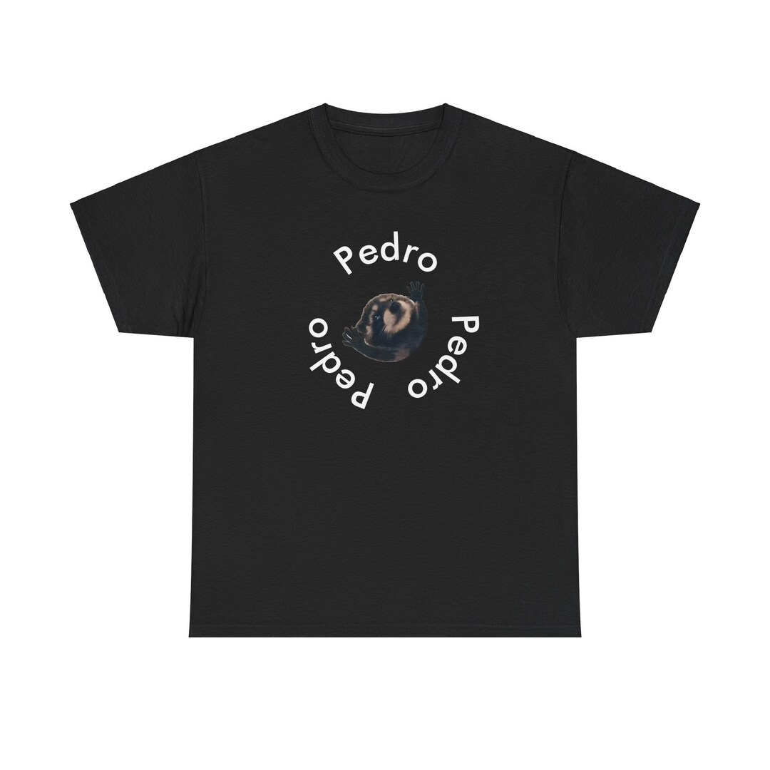 Pedro Pedro Dancing Raccoon T-shirt - Tiktok Trend Meme Shirt - Funny ...
