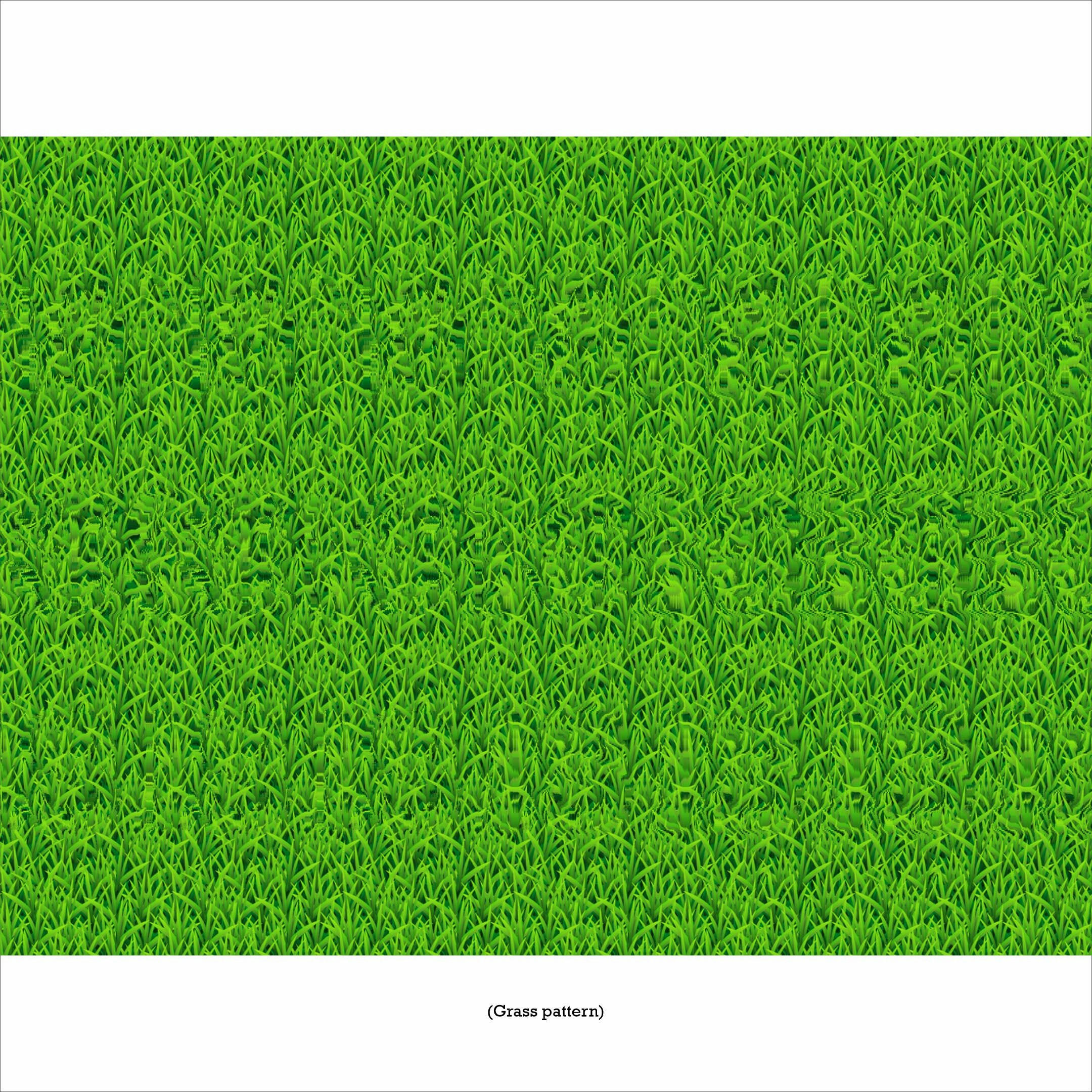 Your Own Secret Text in 3D Stereogram Depth Digital Image! - 3D Phrase ...