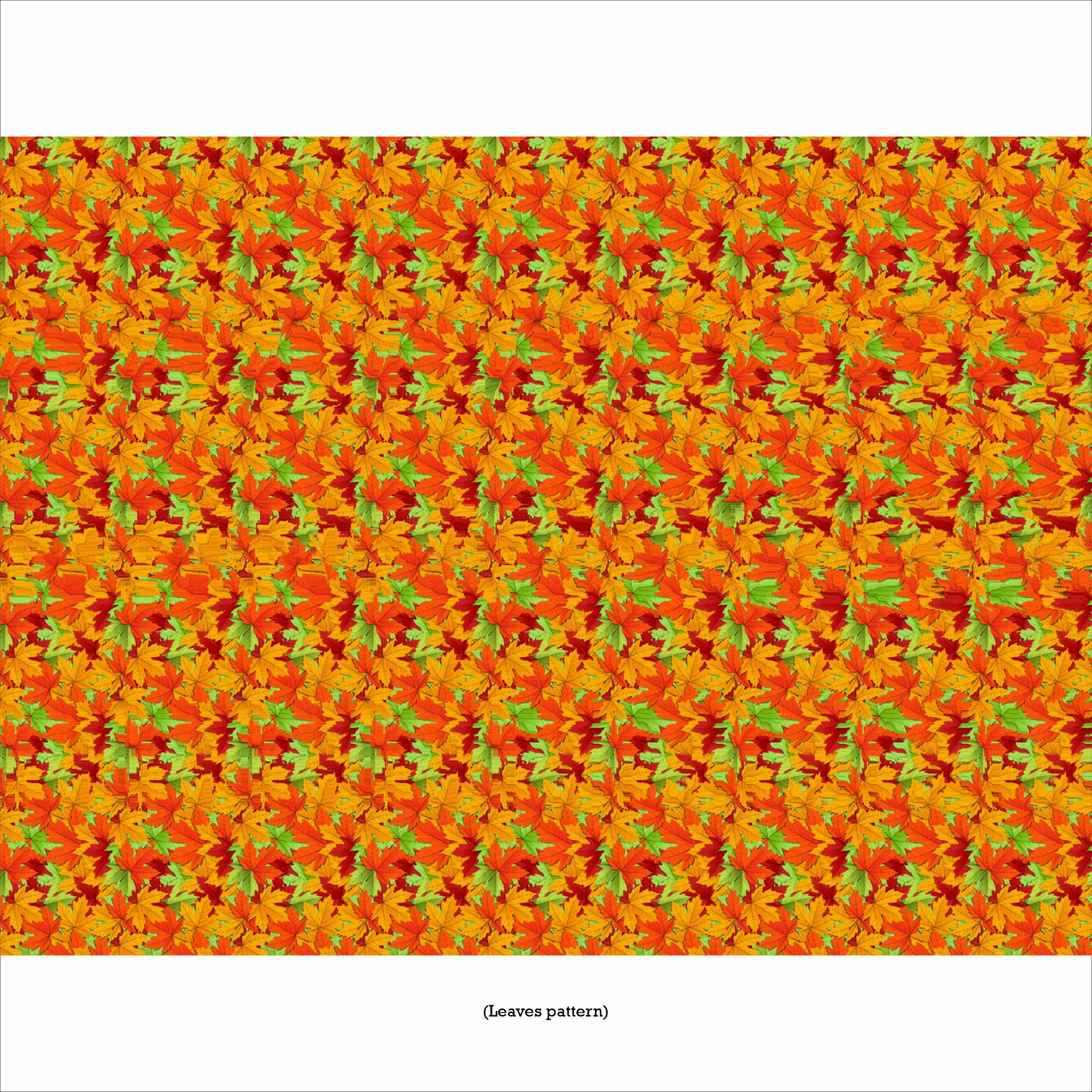 Your Own Secret Text in 3D Stereogram Printed Matte Poster - 3D Phrase ...