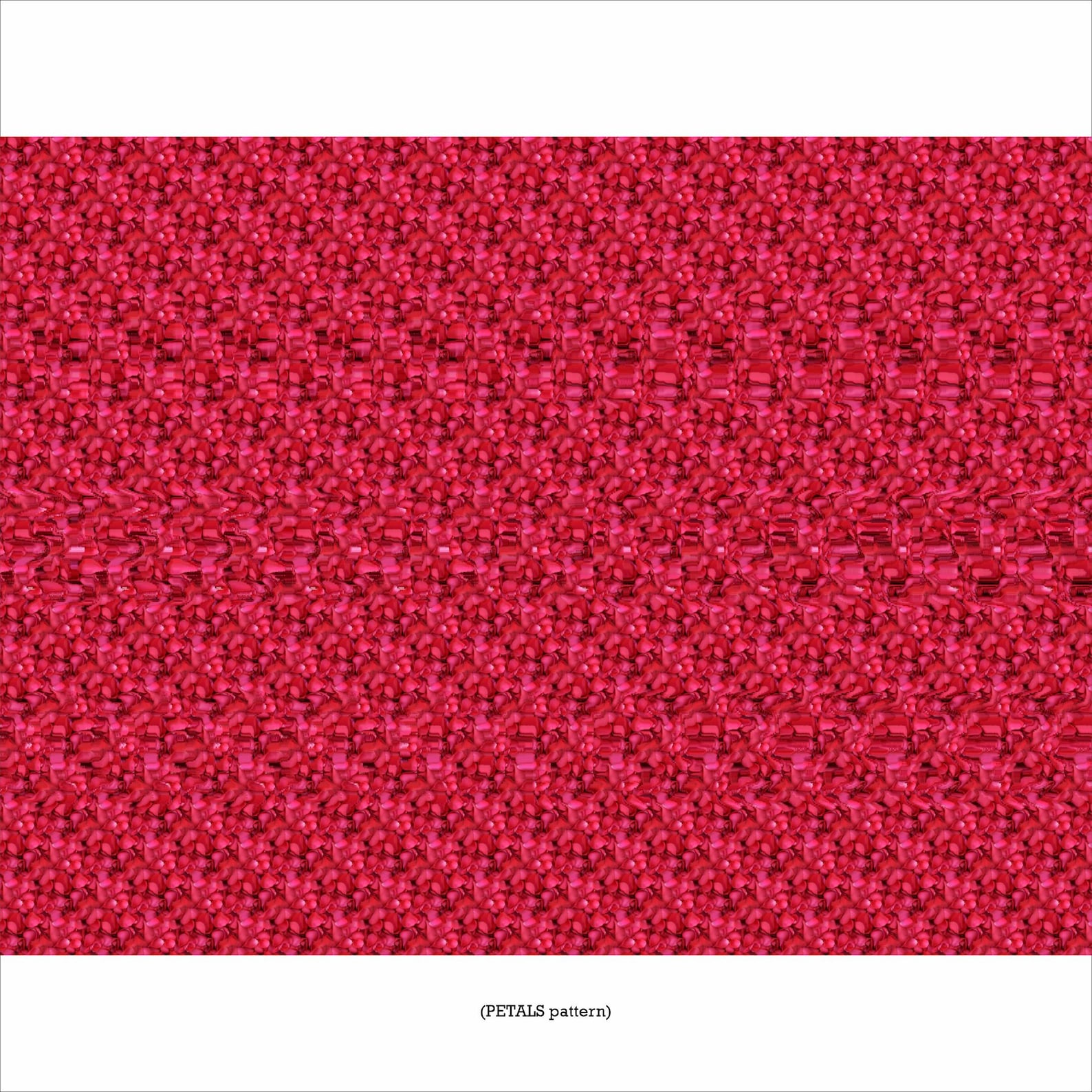 Your Own Secret Text in 3D Stereogram Printed Matte Poster - 3D Phrase ...