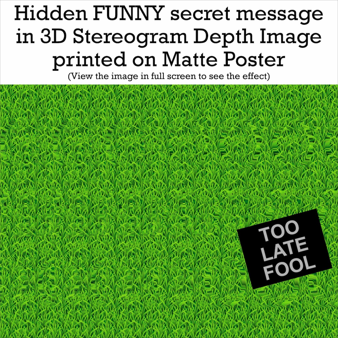 Hidden FUNNY Secret Message in 3D Stereogram Printed Matte Poster - 3D ...