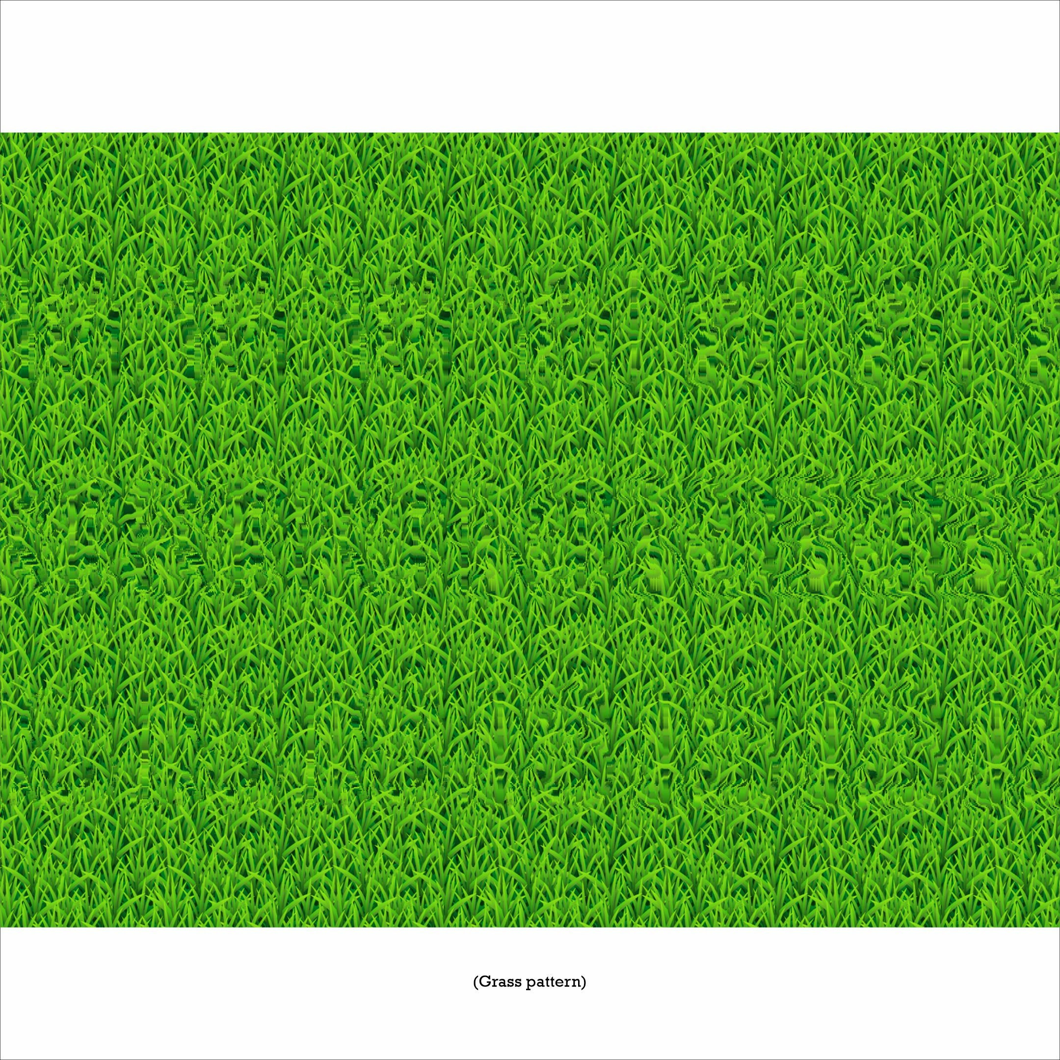 Your Own Secret Text in 3D Stereogram Printed Matte Poster - 3D Phrase ...