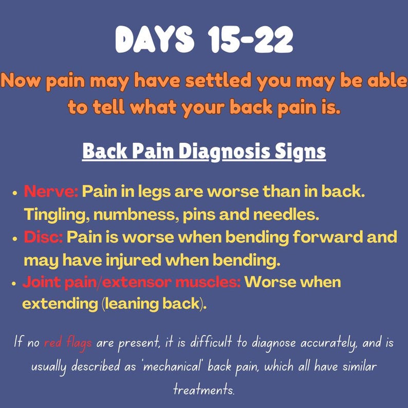30 Day Back Pain Rehabilitation Guide - Etsy