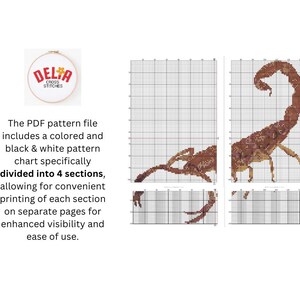 Scorpion Cross Stitch Pattern - Etsy