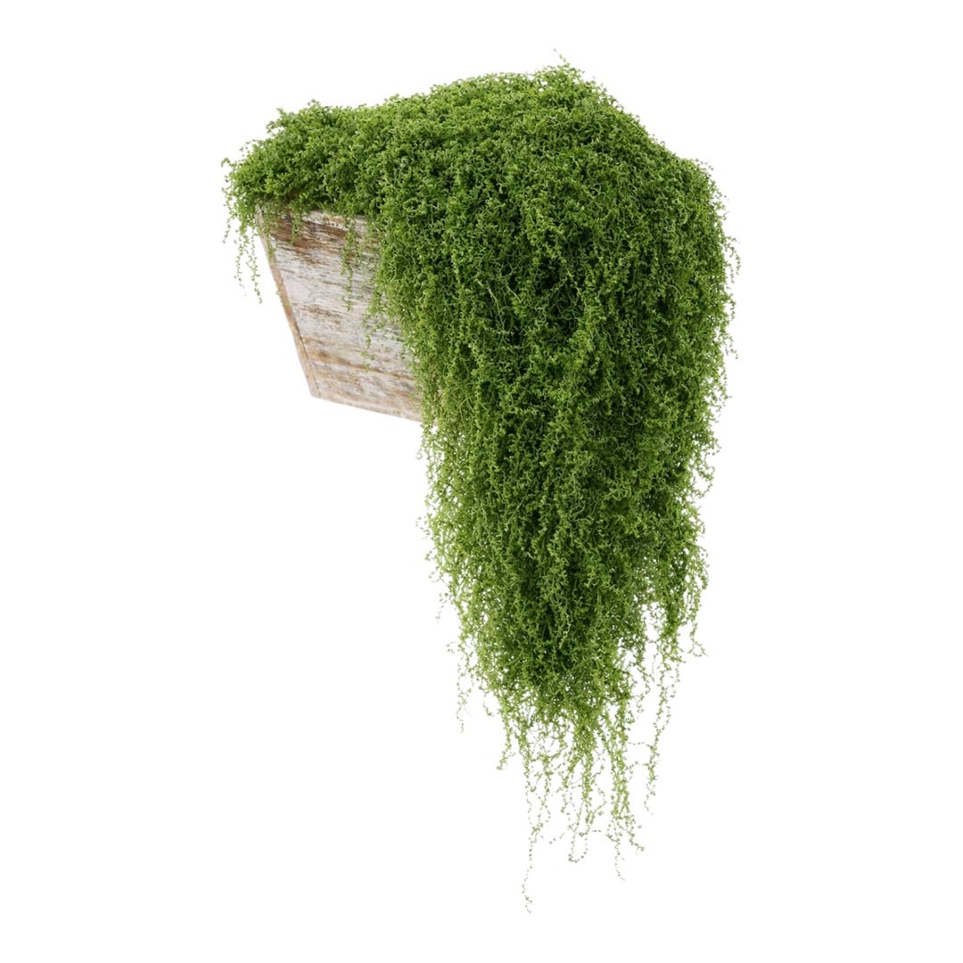 Green Fabric Moss for Crafts Terrariums Fairy Gardens Floral ...
