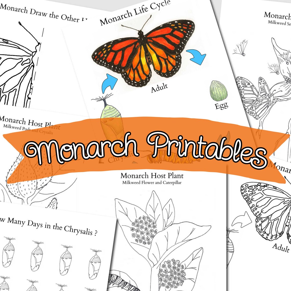 Monarch Butterfly Life Cycle Printables Unit Study - Etsy