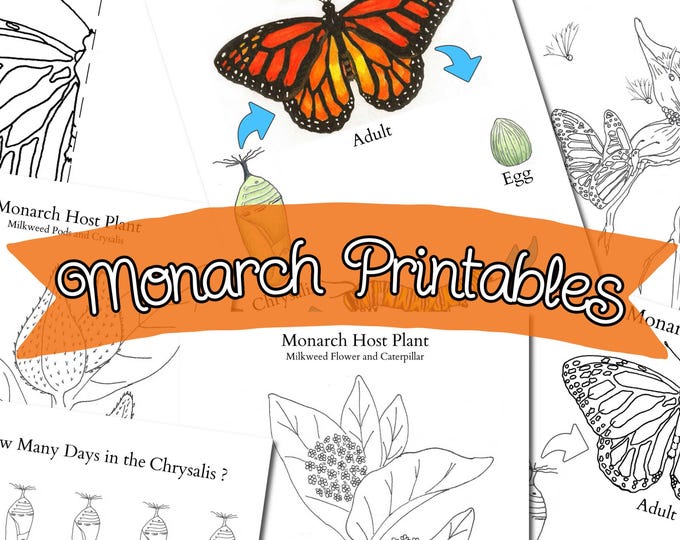 Monarch Butterfly Life Cycle Printables Unit Study - Etsy