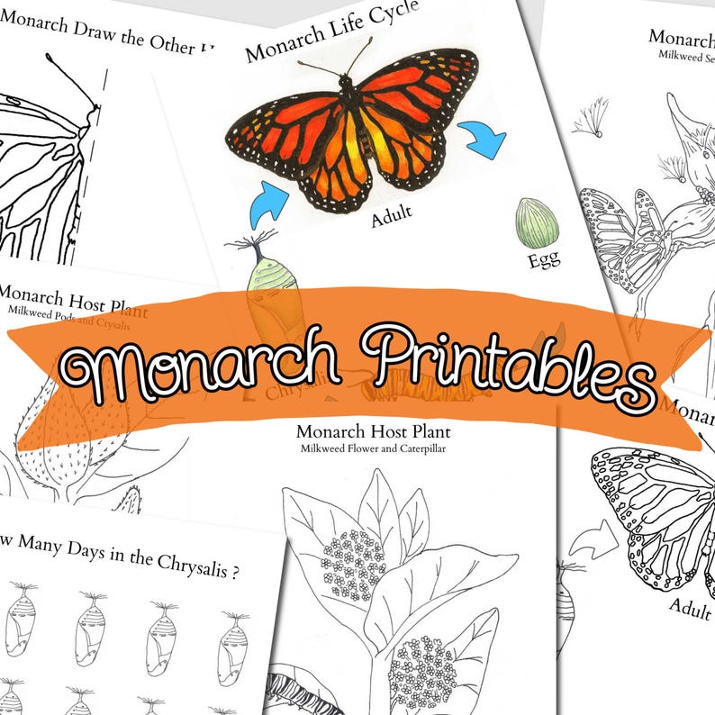 Monarch Butterfly Life Cycle Printables Unit Study - Etsy