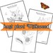 Monarch Butterfly Life Cycle Printables Unit Study - Etsy