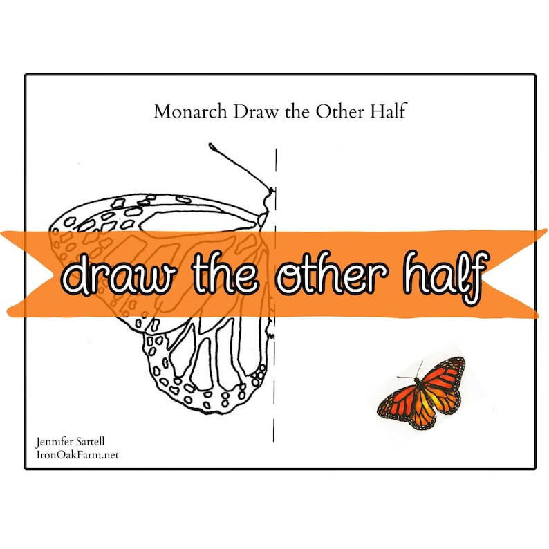 Monarch Butterfly Life Cycle Printables Unit Study - Etsy