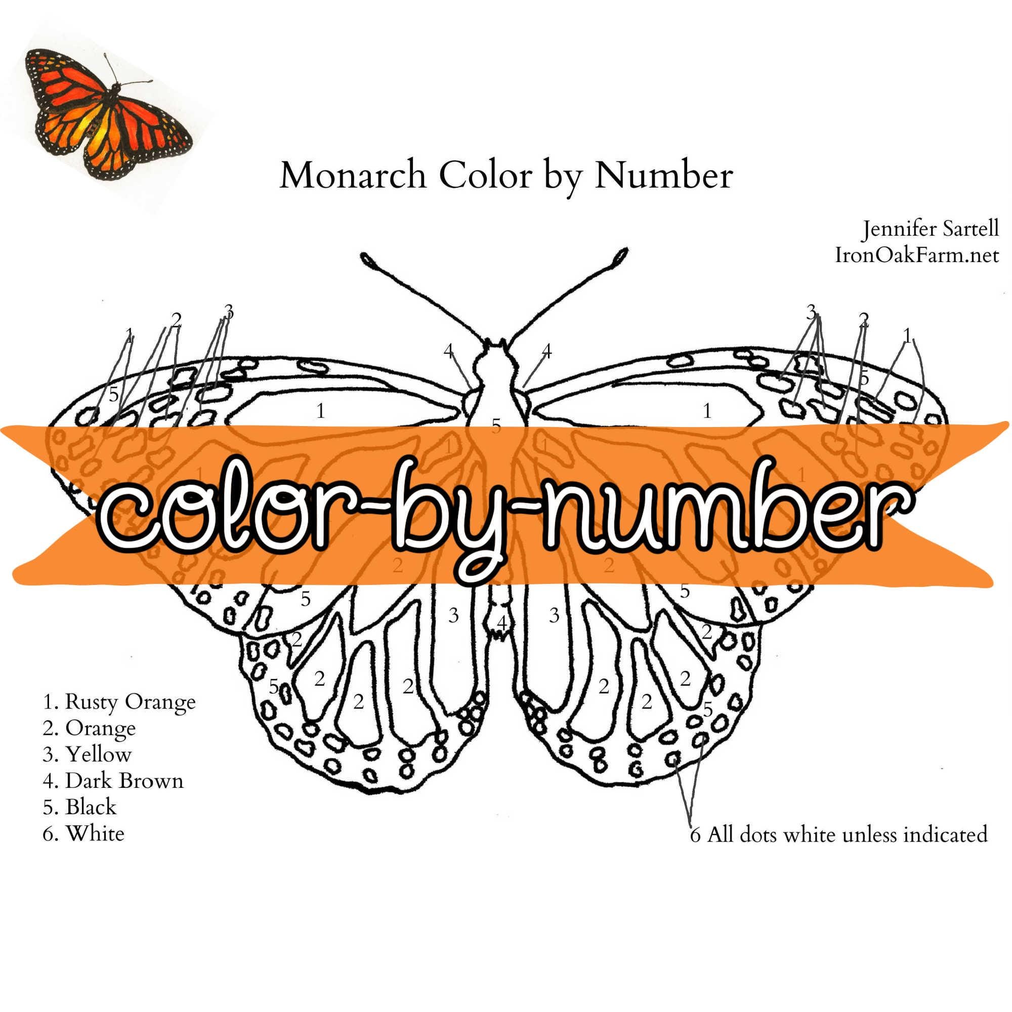 Monarch Butterfly Life Cycle Printables Unit Study - Etsy