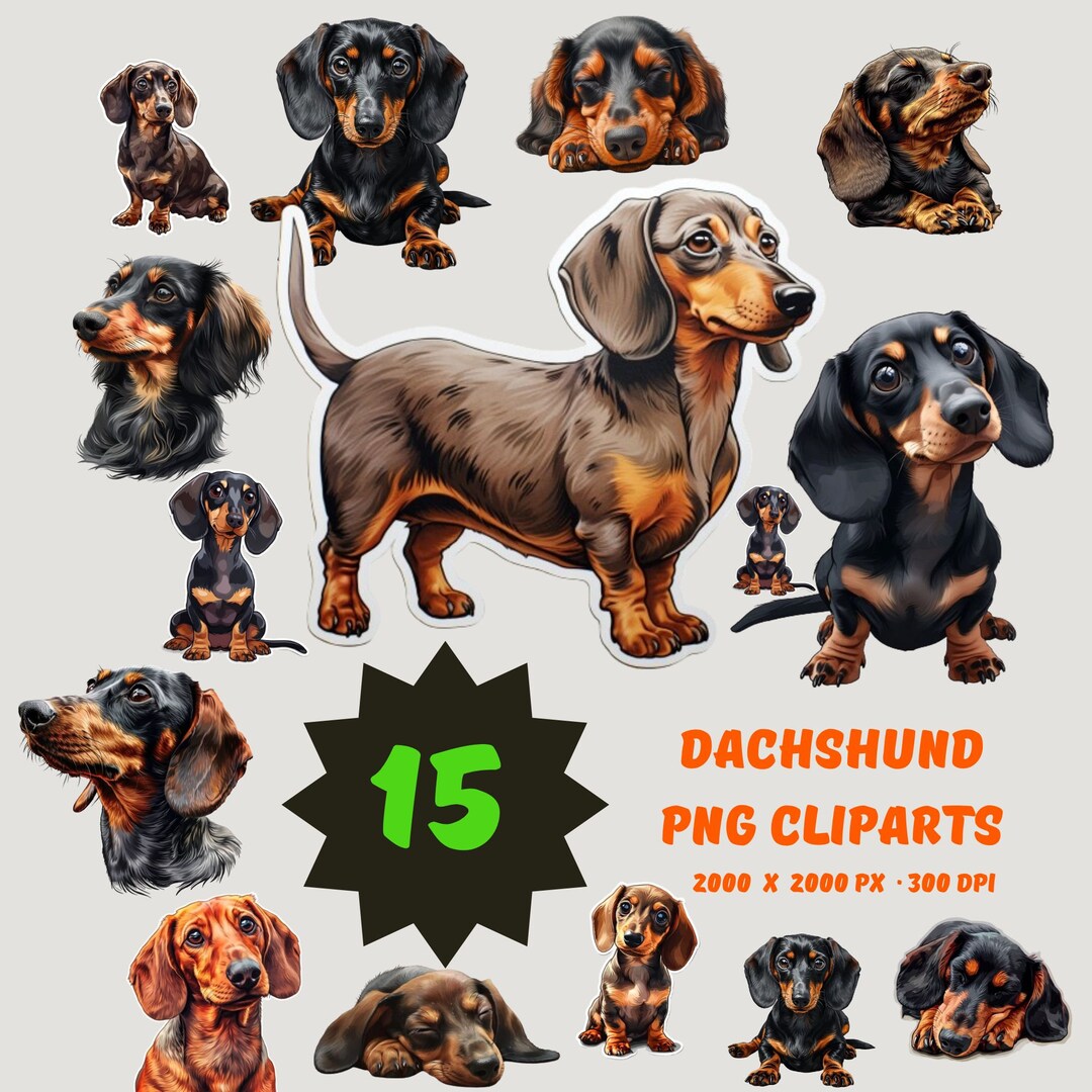 Set of 15 Cute Dachshund Dogs PNG Digital Illustration, Dachshund Clip ...