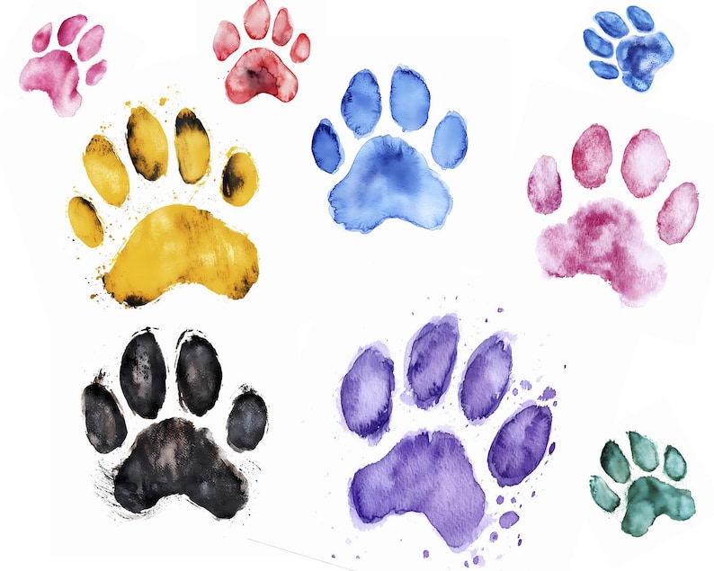 12 Dog Paw Clipart, Cat Watercolor Clip Art, Printable Jpgs, Instant ...