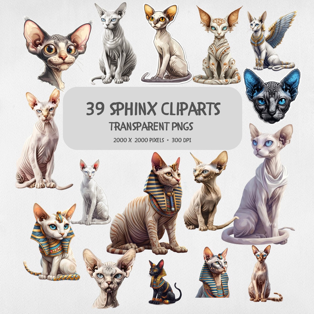 Set of 39 Sphinx Cats Clipart , Digital Illustration, Clipart Bundle ...