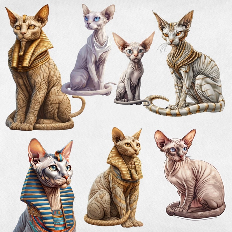 Set of 39 Sphinx Cats Digital Illustration, Sphinx Clipart Bundle, 39 ...