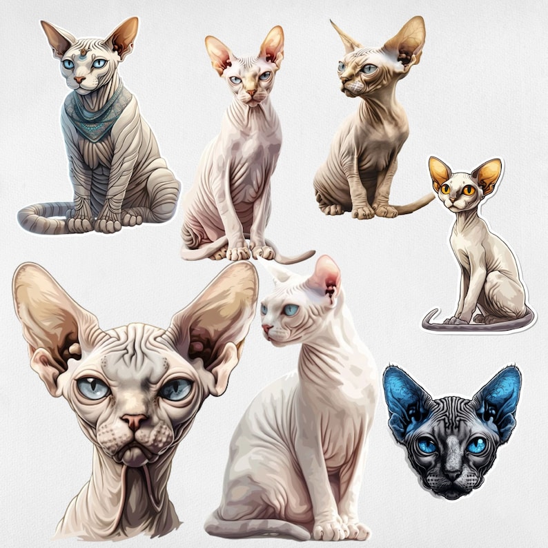 Set of 39 Sphinx Cats Digital Illustration, Sphinx Clipart Bundle, 39 ...