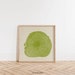 GREEN TREE Print Tree Rings Poster Unique Nature Gift Square Art Print ...