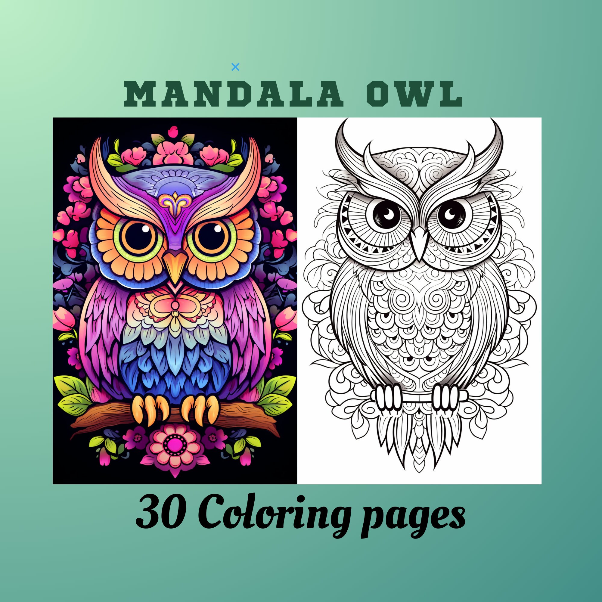 30 Owl Mandala Coloring Pages, Adult Mandala Coloring Pages, Digital ...