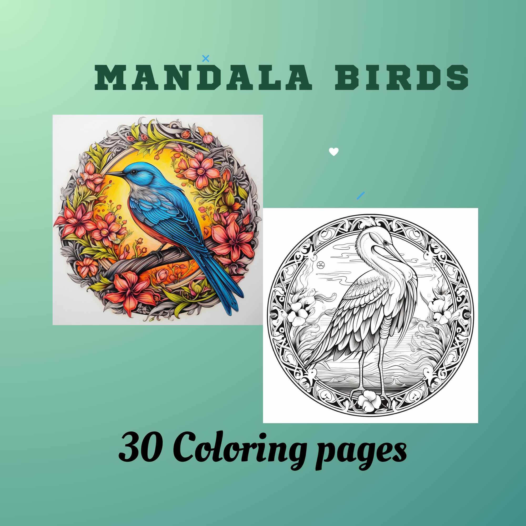 30 Mandala Birdscoloring Pages, Adult Mandala Coloring Pages, Digital ...