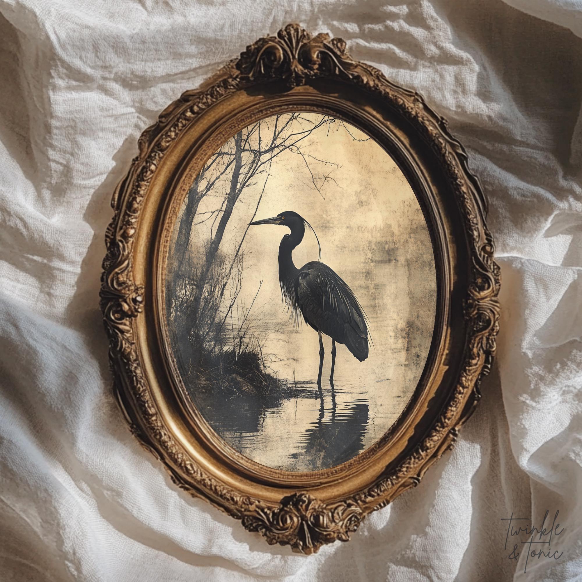 Vintage Black Heron Wall Art, Dark Academia Home Decor, Moody Bird ...