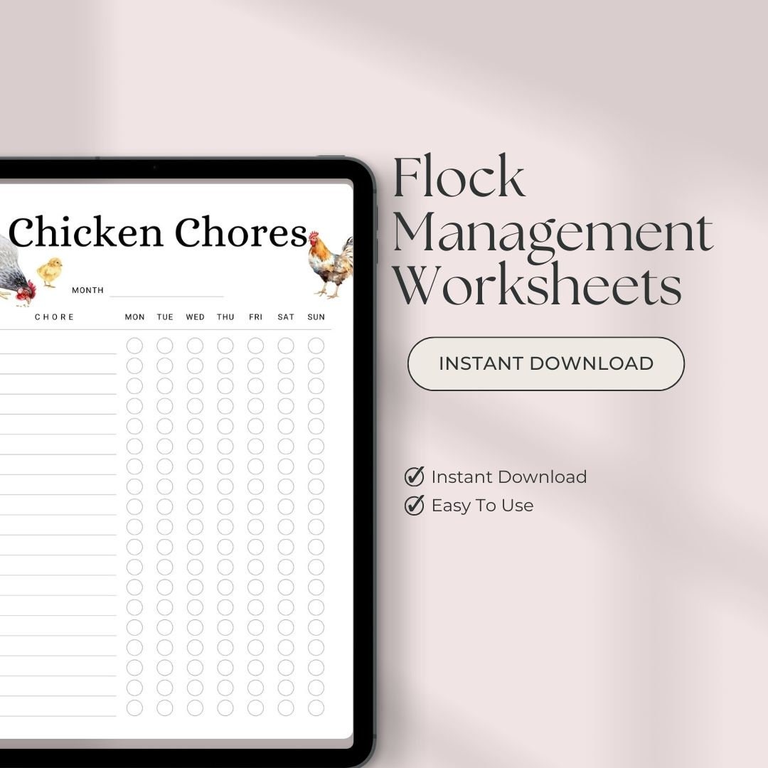 Chicken Chores Printable | Chicken Printable | Homestead Printable - Etsy