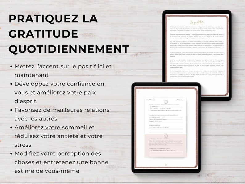 Gratitude Journal in Realistic French Gratitude Journal Daily Digital ...