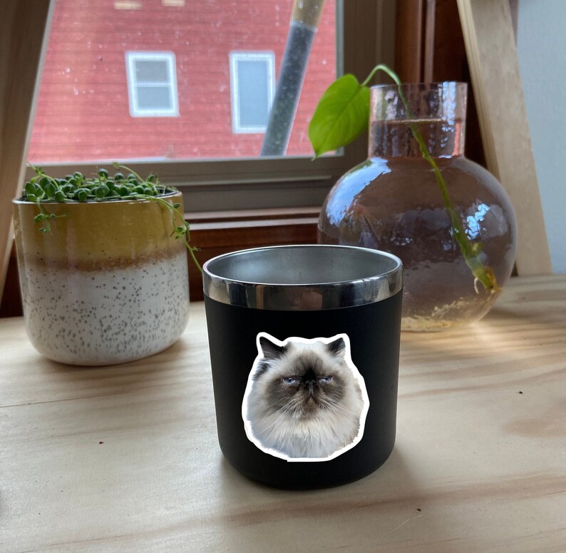 100 Grumpy Cat Vinyl Sticker - Etsy