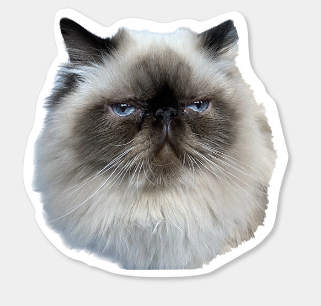 100 Grumpy Cat Vinyl Sticker - Etsy