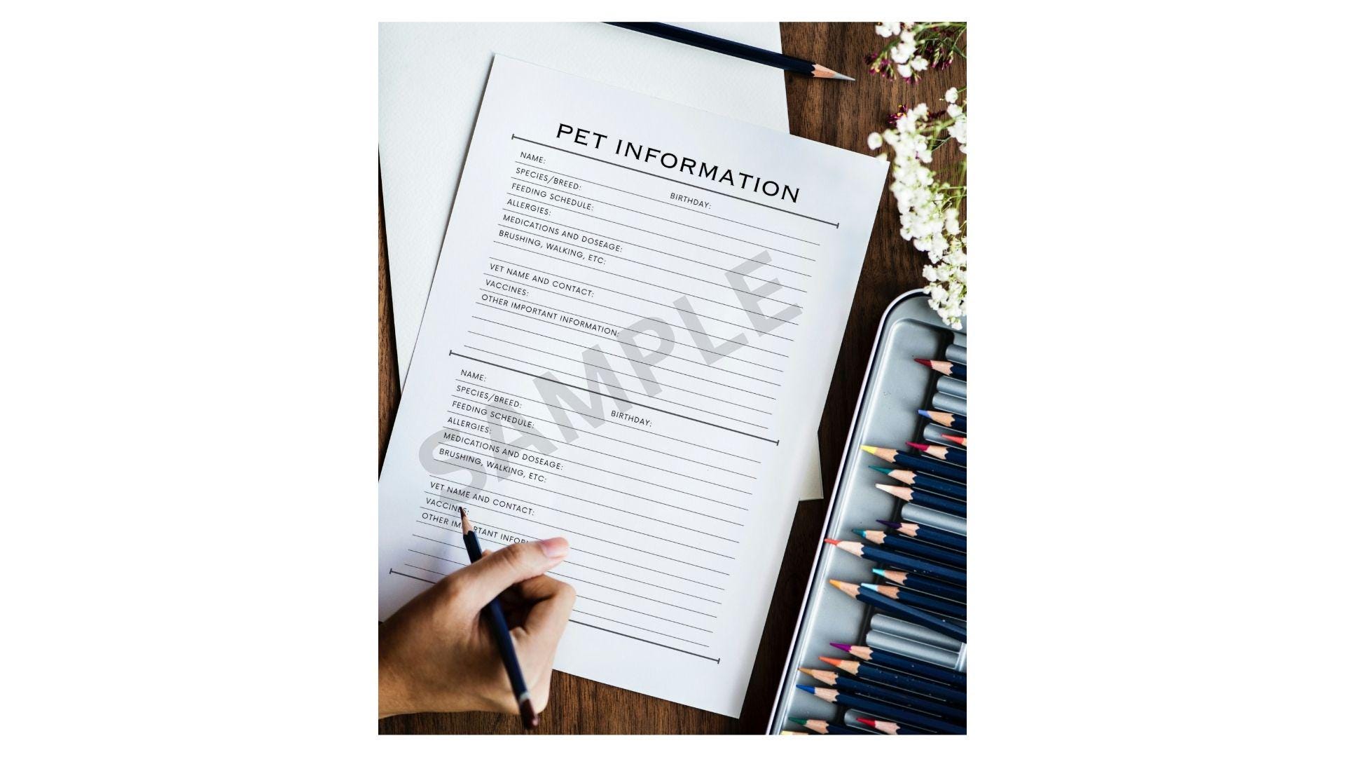 Household Binder Pages, Family Binder Pages, Organization Bundle for ...