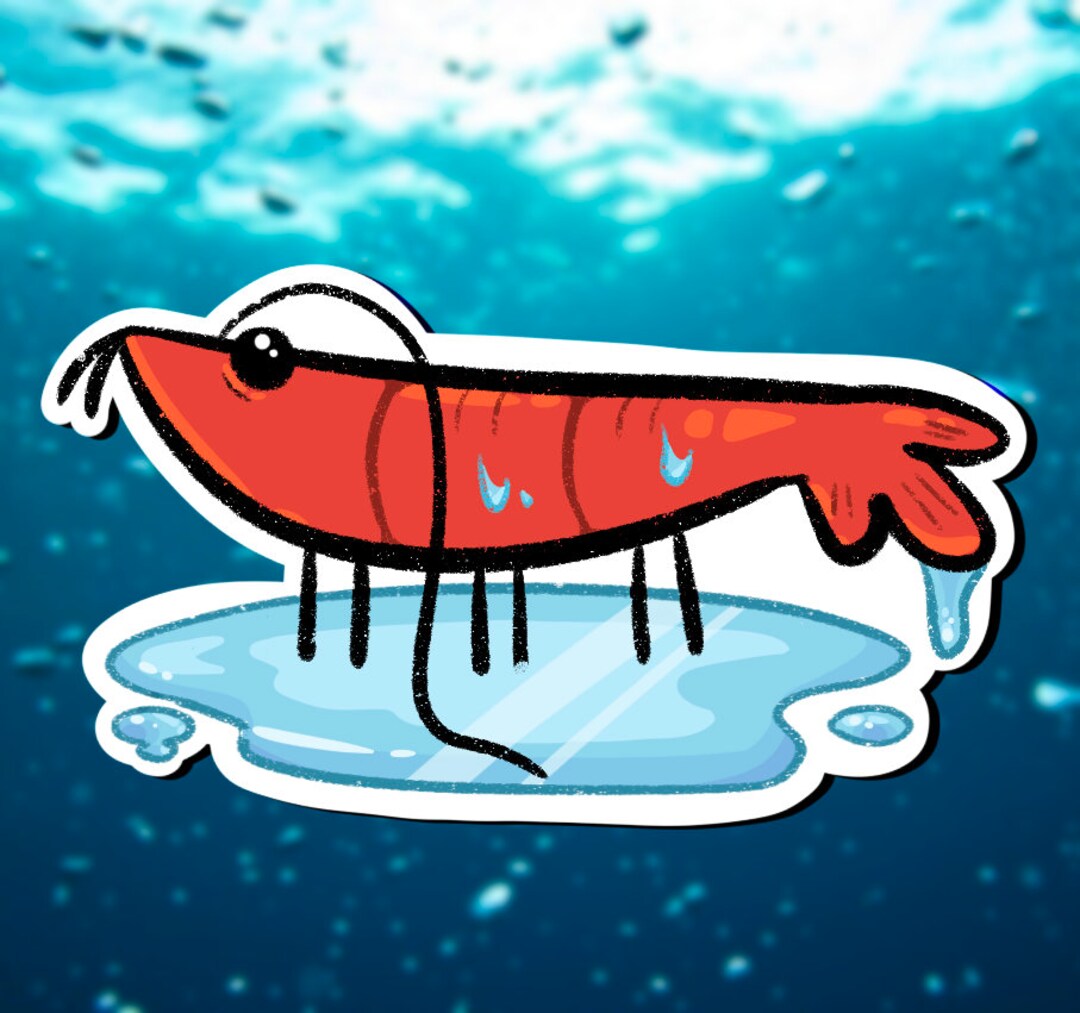 Sad Shrimp Sticker | Shrimp Out of Water | Shrimp Enthusiast | Glossy ...