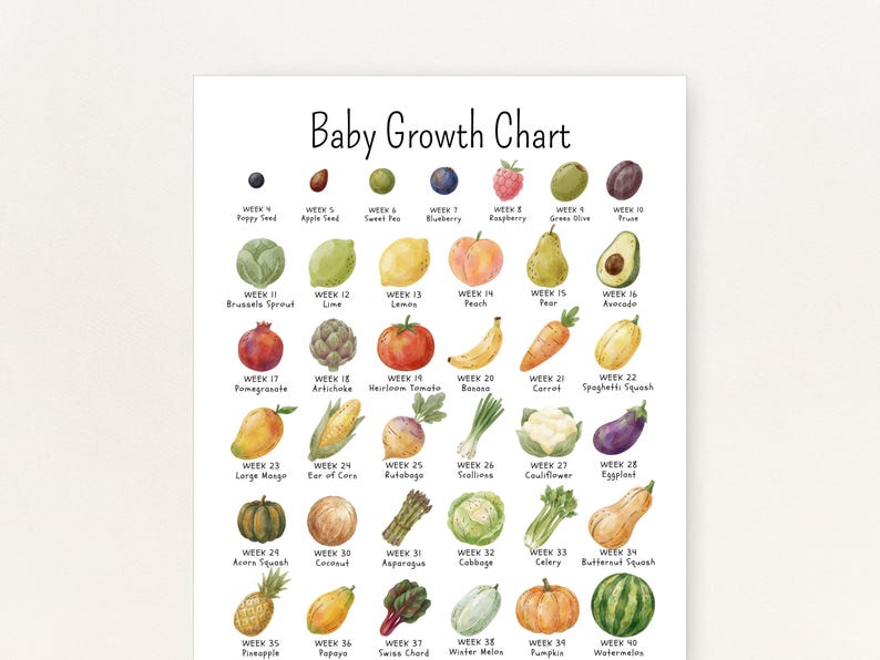 Baby Growth Chart, Pregnancy Growth Chart, Fetal Size in Fruit and ...